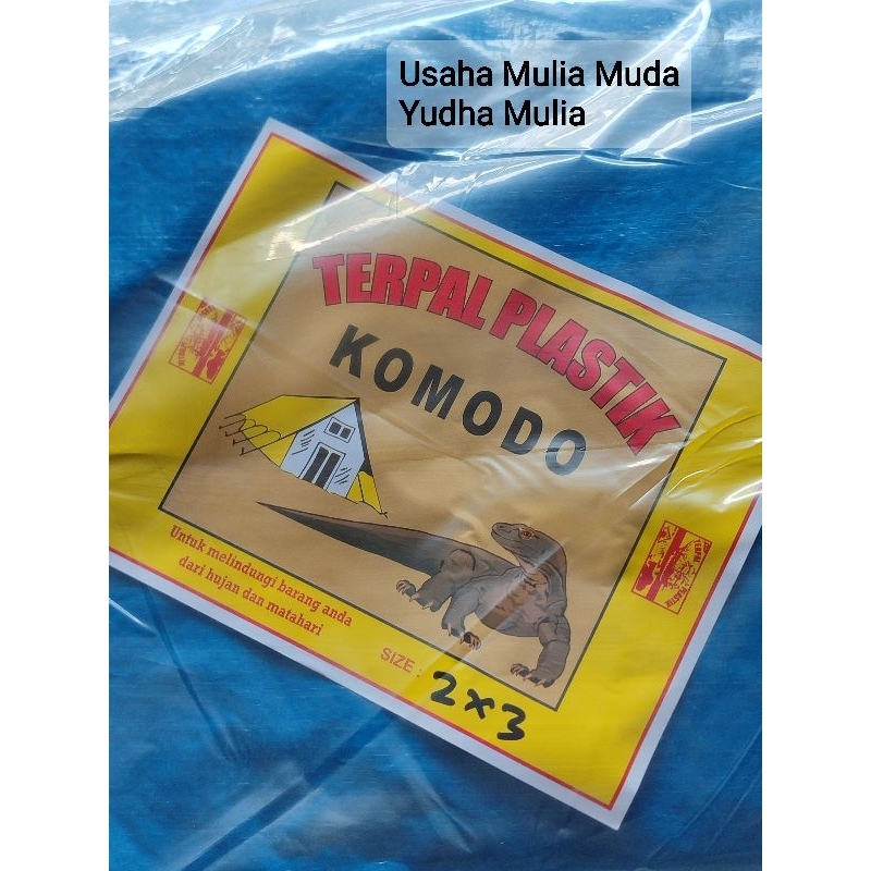 Jual TERPAL PLASTIK A2 UKURAN 2X3 / TERPAL JADI / TERPAL SERBAGUNA ...
