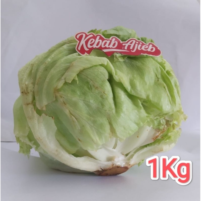 Jual Lettuce Sayuran Kebab 1 kg | Shopee Indonesia
