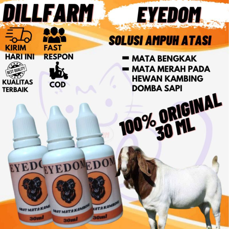 Jual Obat Tetes Mata Kambing Domba Sapi EYEDOM 30 ml | Shopee Indonesia