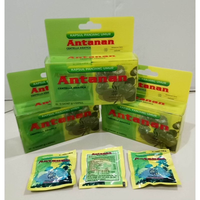 Jual Antanan Kapsul Asam Urat Rheumatik Pegal Linu Dll Jaminan Original ...