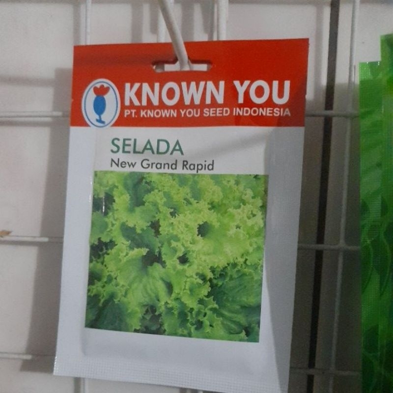 Jual benih unggul Selada Hijau SELADA NEW GRAND RAPID ISI 5 GRAM | Shopee Indonesia