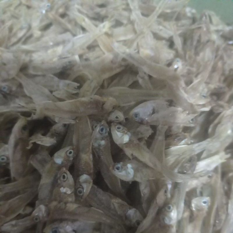 Jual Ikan Asin Murah Harga 5000 Cumi Asin Teri Jengki Peda Merah Bulu ...