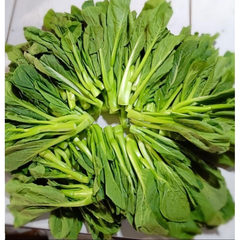 Jual sayur sawi manis / caisim manis 500 gram | Shopee Indonesia