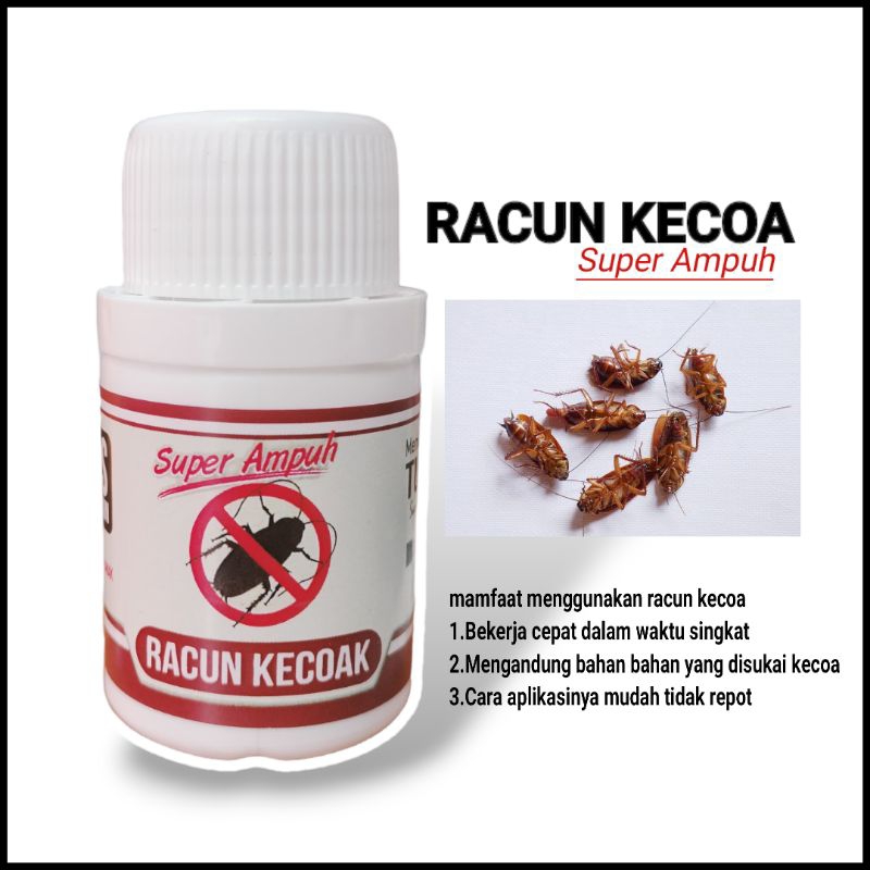 Jual Botol racun kecoa super ampuhhh umpan siap pakai aroma makananan ...