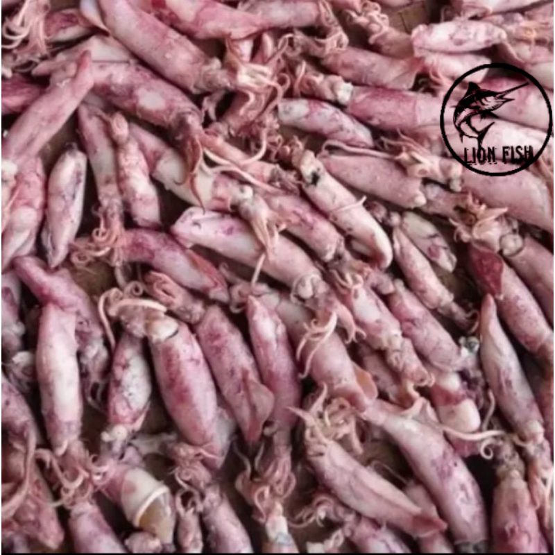 Jual cumi asin semi basah cumi sotong cumi telor;1kg | Shopee Indonesia