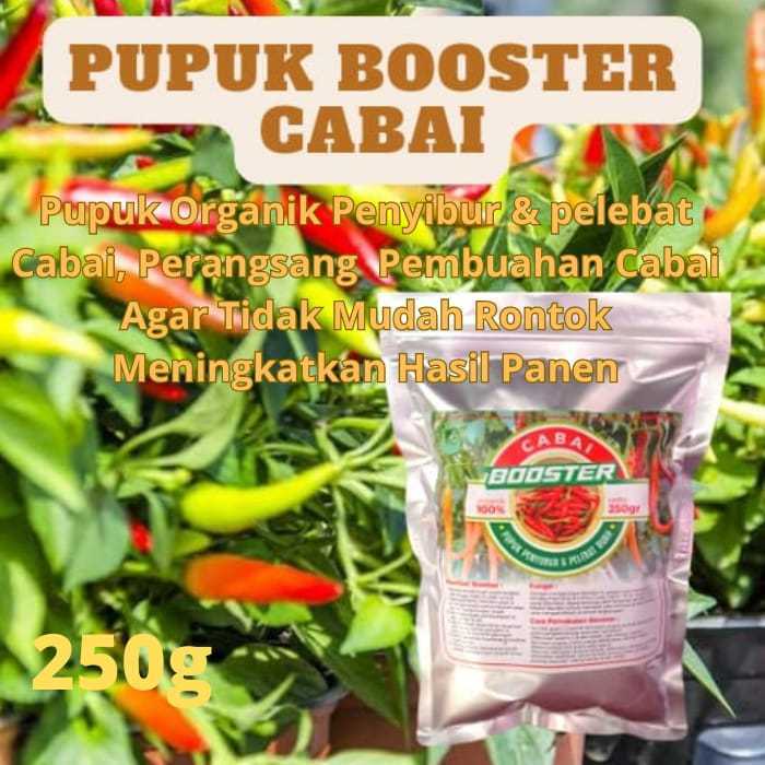 Jual Pupuk Organik Cabe Booster Pelebat Cabai Serbuk Terbaik Agar Cepat Berbuah lebat dan besar ...