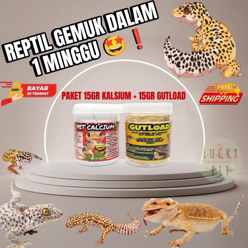 Jual PAKET GEMUK 15GR SUPPLEMENT KALSIUM + GUTLOAD GECKO CALCIUM ...