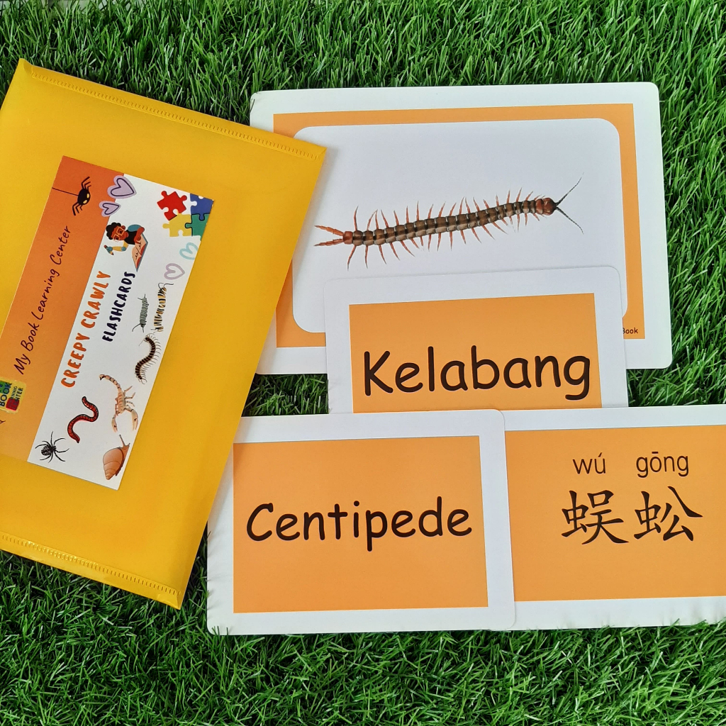 Jual Kartu Mainan Edukasi Anak // Flashcards SIZE JUMBO Tema Binatang ...