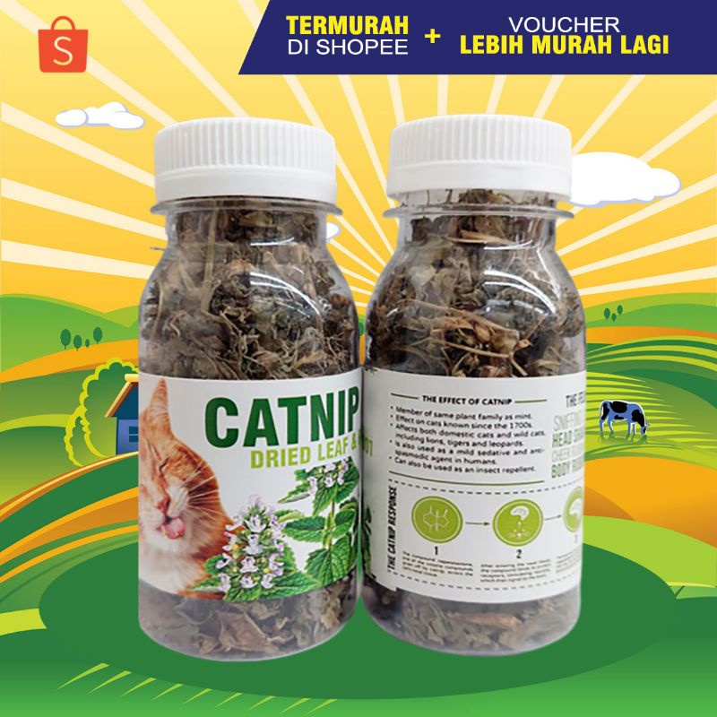 Jual CATNIP BOTOL - CATMINT OBAT BIRAHI & STRESS KUCING CAT MINT DRIED ...