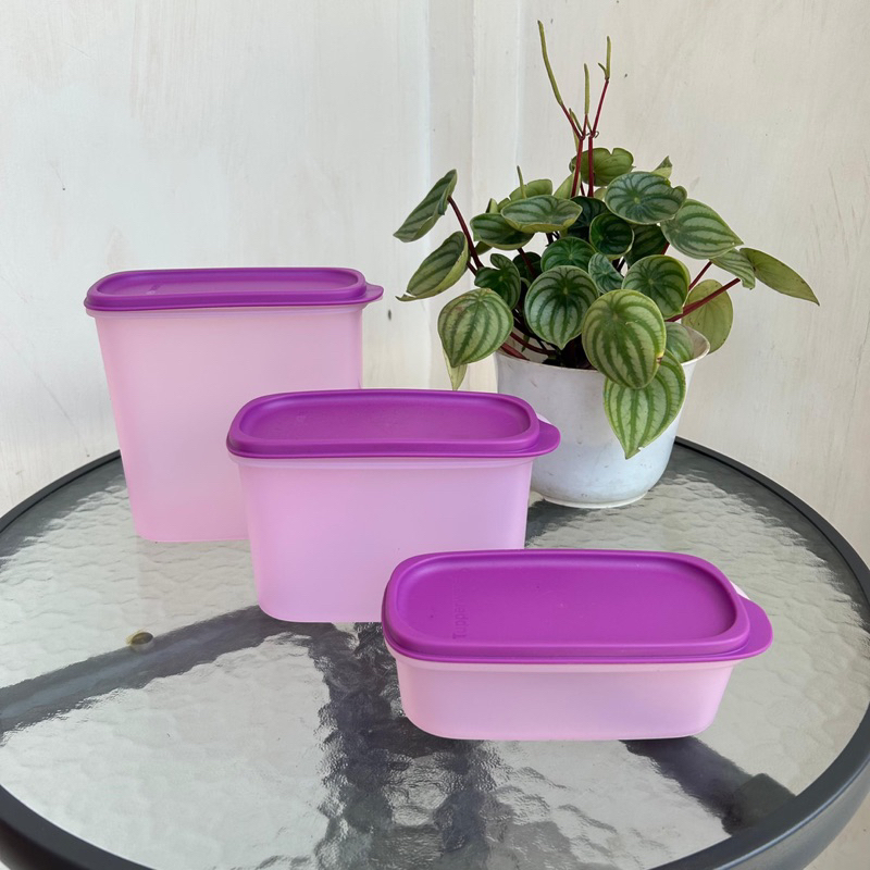 Jual Tempat gula Tupperware (Smart saver oval) | Shopee Indonesia