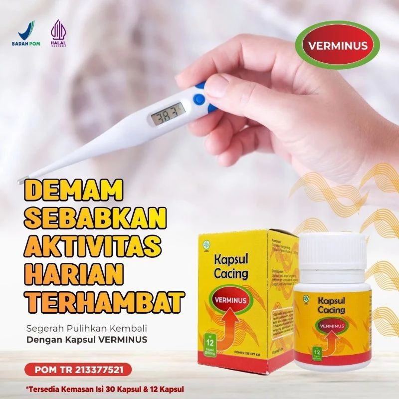 Jual Verminus Obat Demam DBD Typus Extrak Kapsul Cacing Isi 12 Kapsul ...