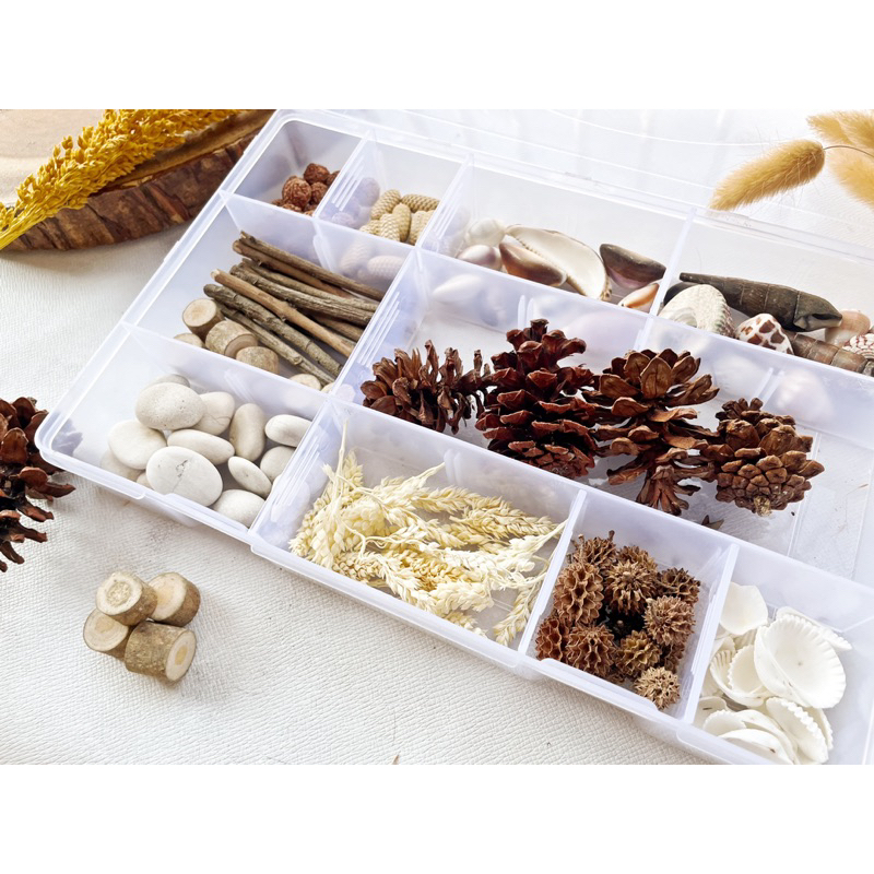 Jual LILOMILO Nature Loose Part Set/Biji-Bijian Bahan Alami Box Plastik ...