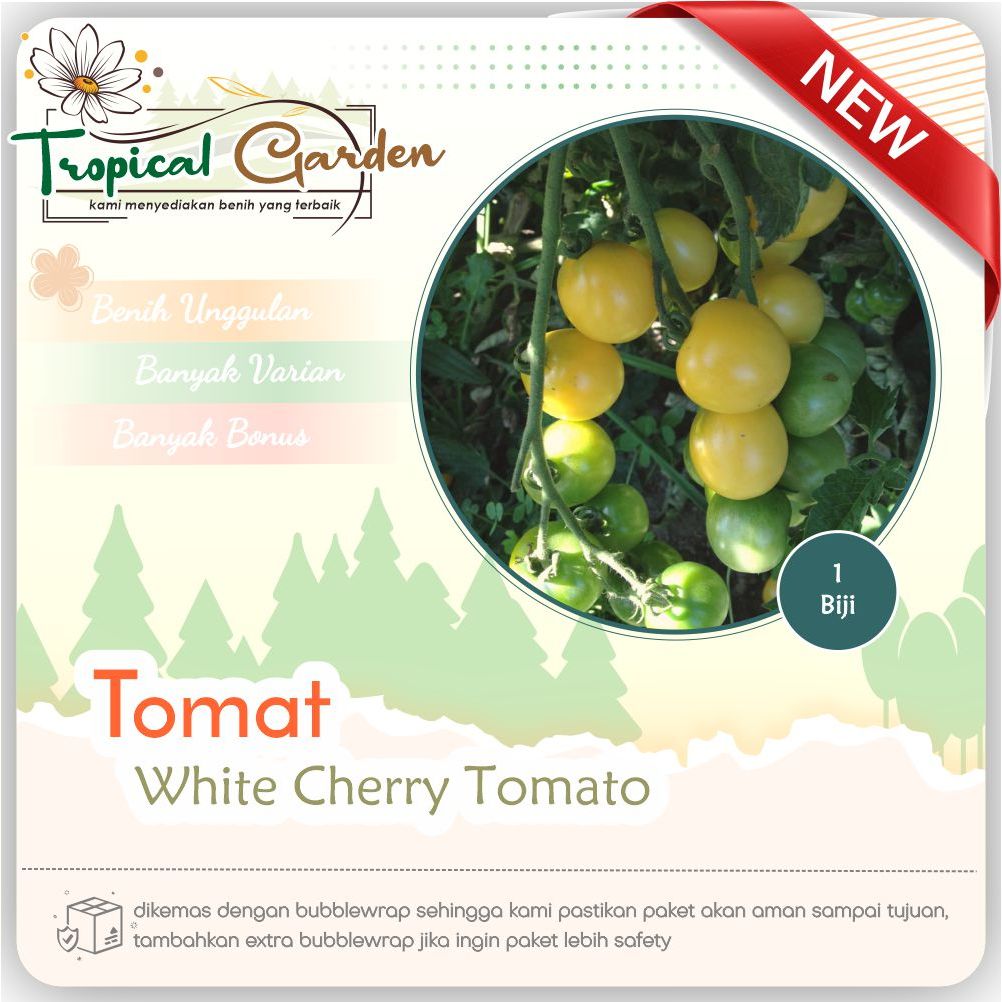 Jual Tropical Garden Benih Biji Tomat White Cherry Tomat Putih COD ...