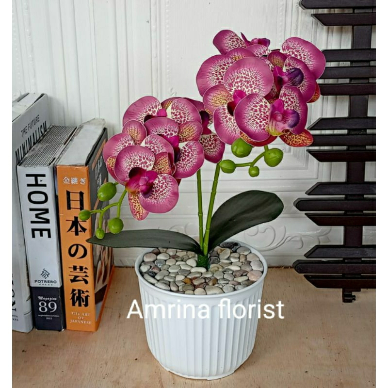 Jual bunga hias anggrek latex artificial 2 cabang vas garis | Shopee ...