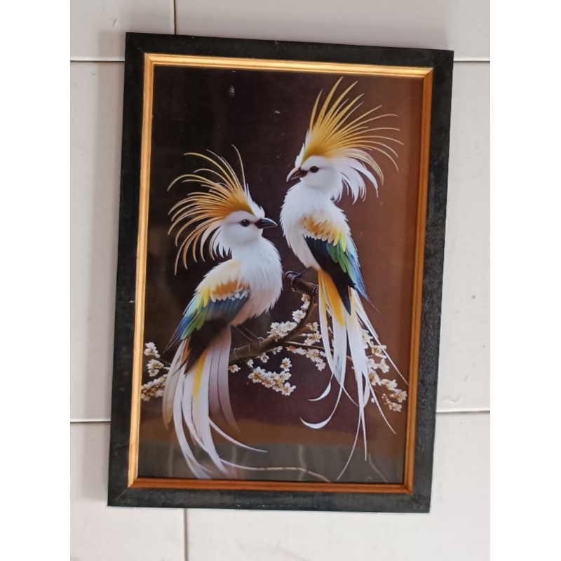 Jual hiasan dinding poster burung hias plus bingkai ukuran 53*35 ...
