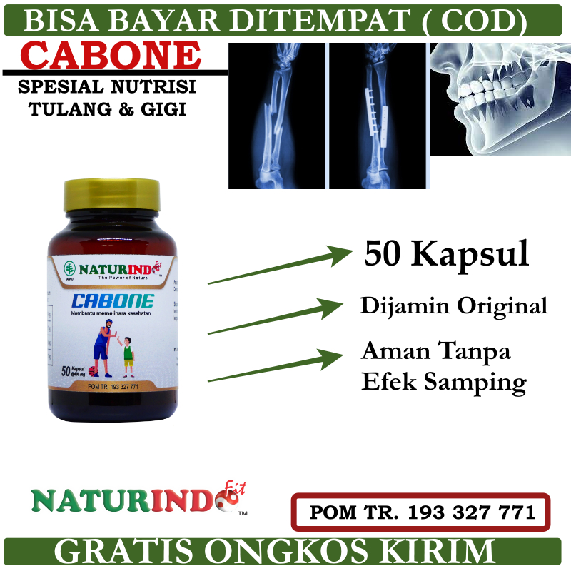 Jual Obat Herbal Nutrisi Tulang Osteoporosis Untuk Tulang Rapuh ...