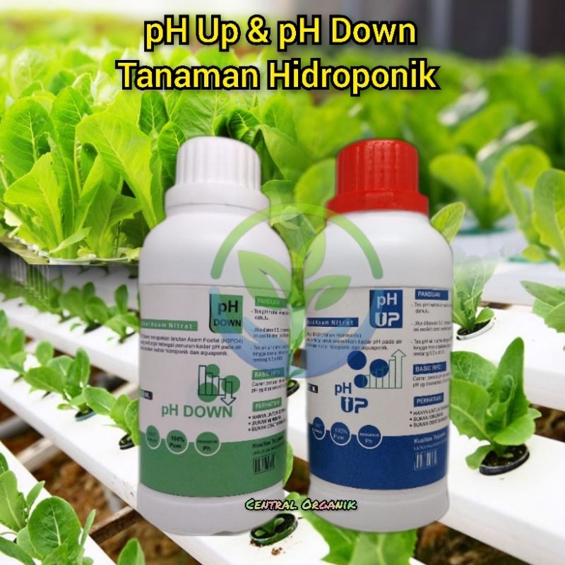 Jual Paket pH Up dan pH Down 500 ml Untuk Hidroponik | Shopee Indonesia