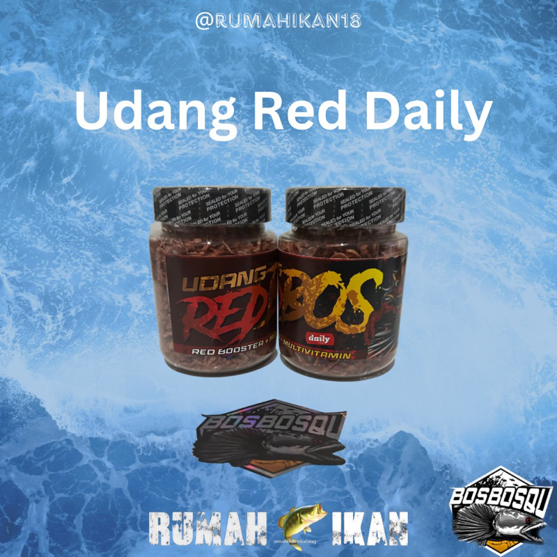 Jual UDANG RED BOS DAILY (MERAH) WARNA DASAR PIGMEN YELLOW & RED (BOS ...