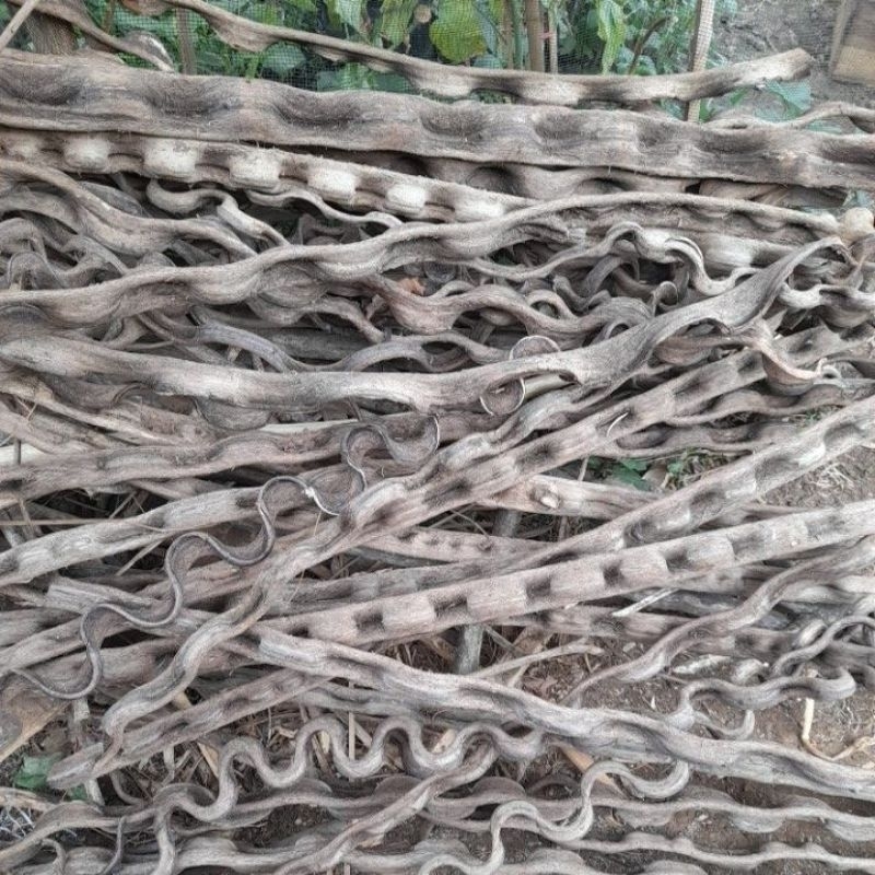 Jual KAYU AKAR TRINIL || AKAR LANGIT Bahan Kerajinan || Dekorasi ...