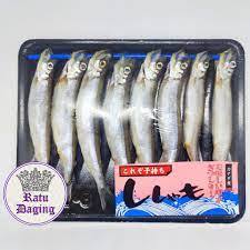 Jual Ikan Shisamo sisamo | Ikan Capelin | Ikan Telur Viral (8pcs ...