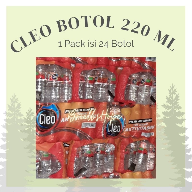Jual 🇮🇩GO🇮🇩 Cleo Botol Mini 220 mL Isi 24 Botol | Shopee Indonesia