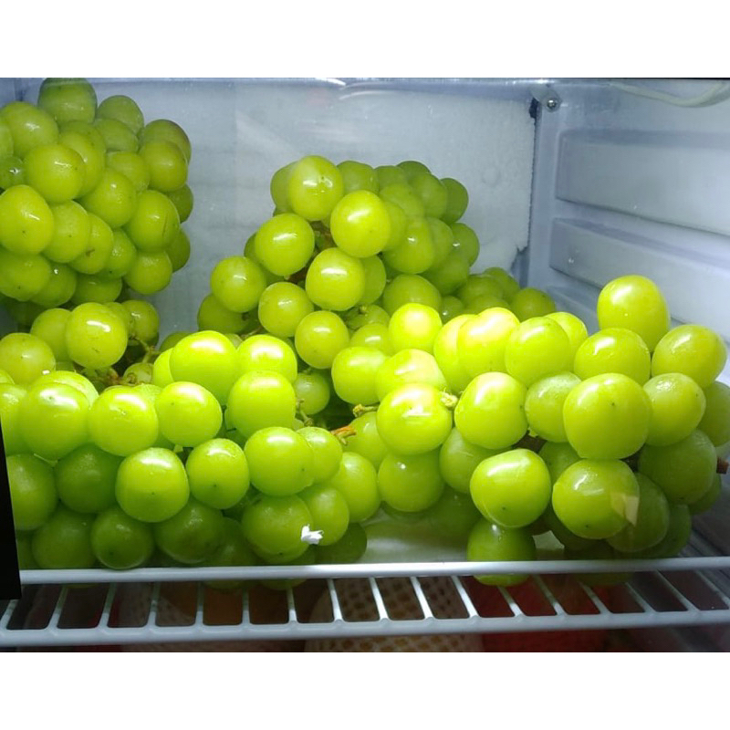 Jual ANGGUR MUSCAT 500gr | Shopee Indonesia