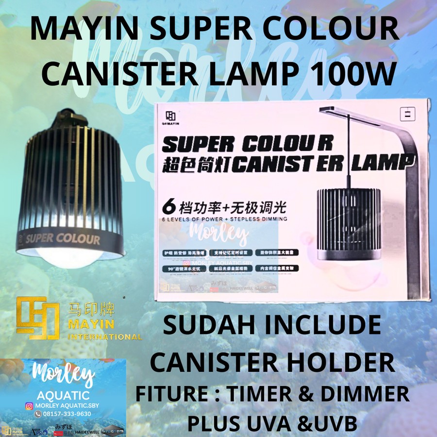 Jual MAYIN VIEW CANISTER LAMP SUPER COLOUR WITH HOLDER 100W | Shopee ...