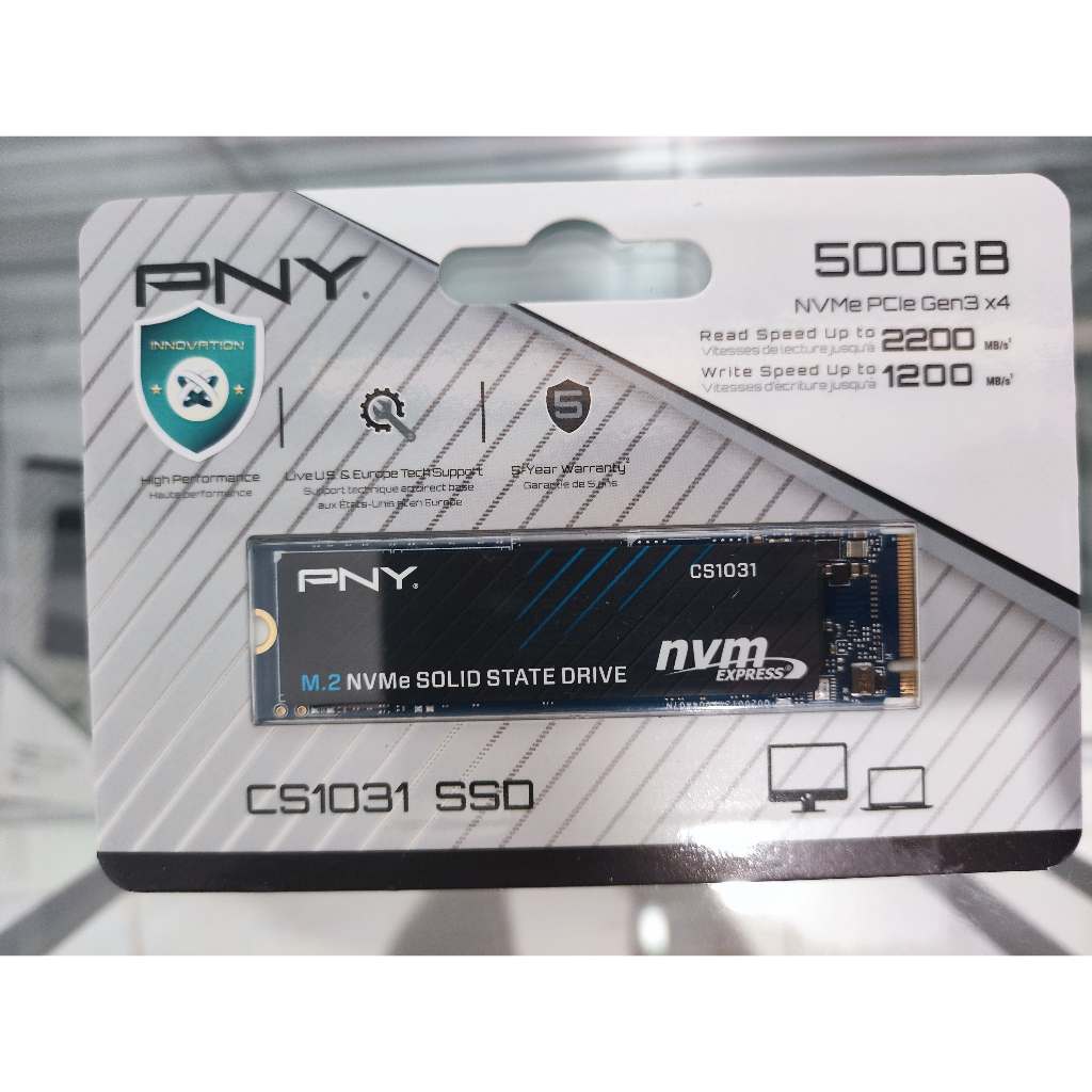 Jual PNY CS1031 M.2 SSD 500GB | Shopee Indonesia