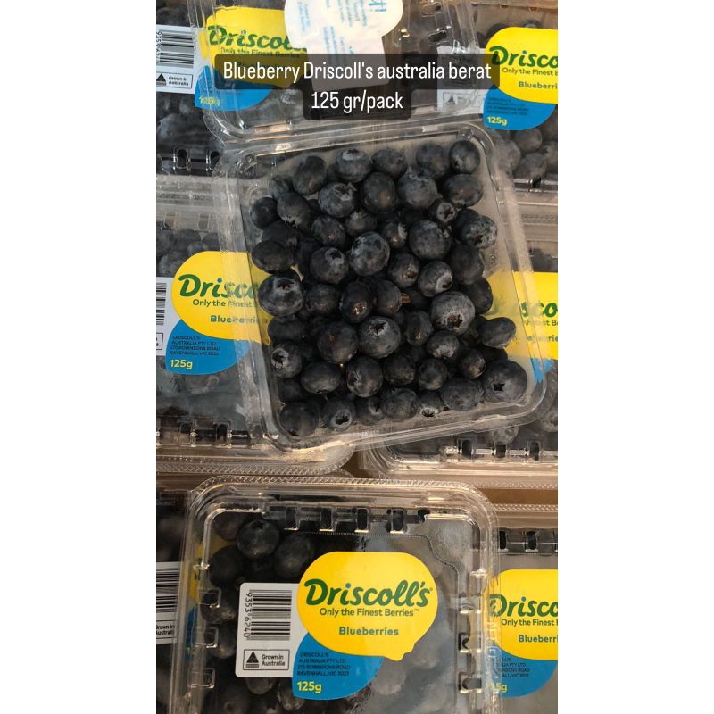 Jual Blueberry Driscoll's Australia Berat 125 gram /pack | Shopee Indonesia