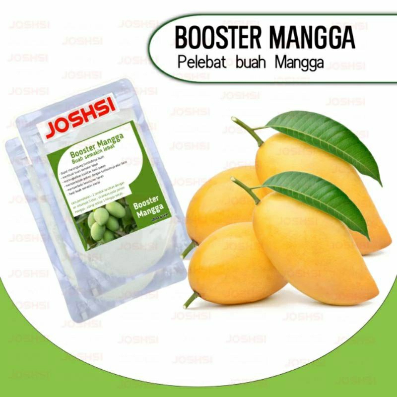 Jual booster mangga perangsang buah mangga pelebat buah pupuk buah | Shopee Indonesia