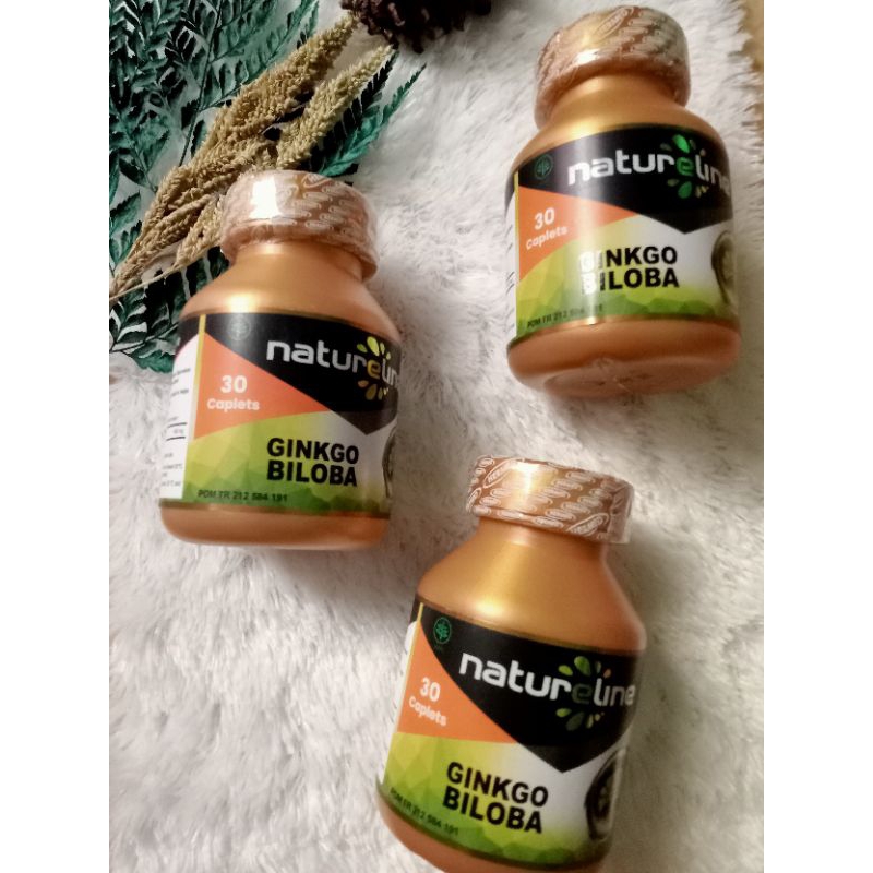 Jual Natureline Ginkgo Biloba (30 kaplet) vitamin otak vitamin untuk ...