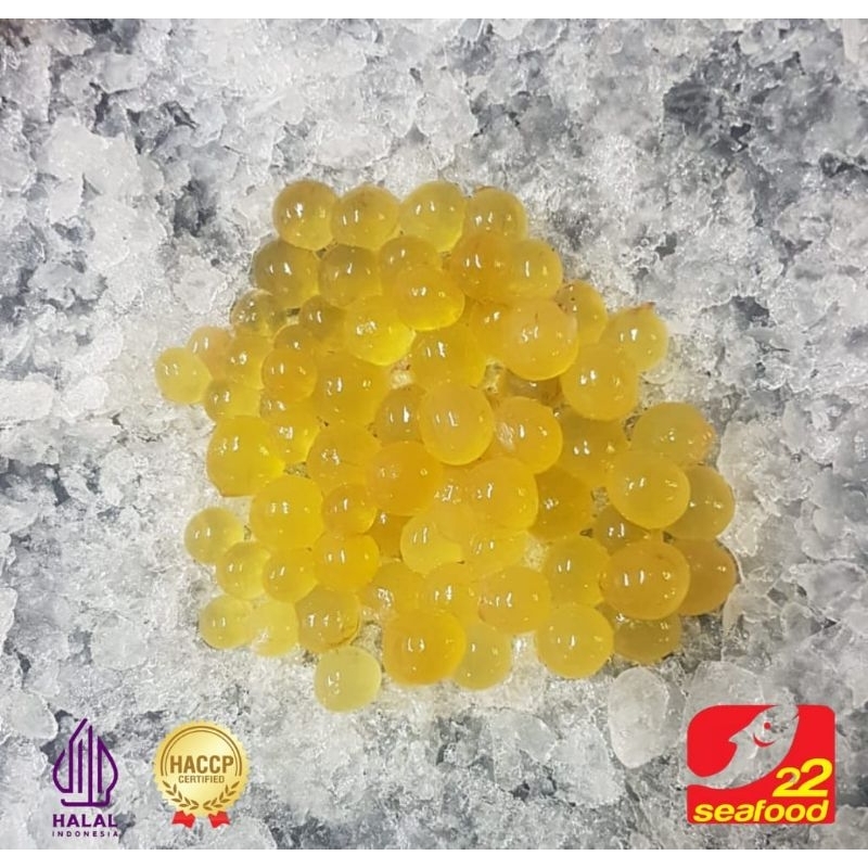 Jual Ikan Manyung / Telur ikan manyung 500 gr limited / Telur Ikan Laut ...