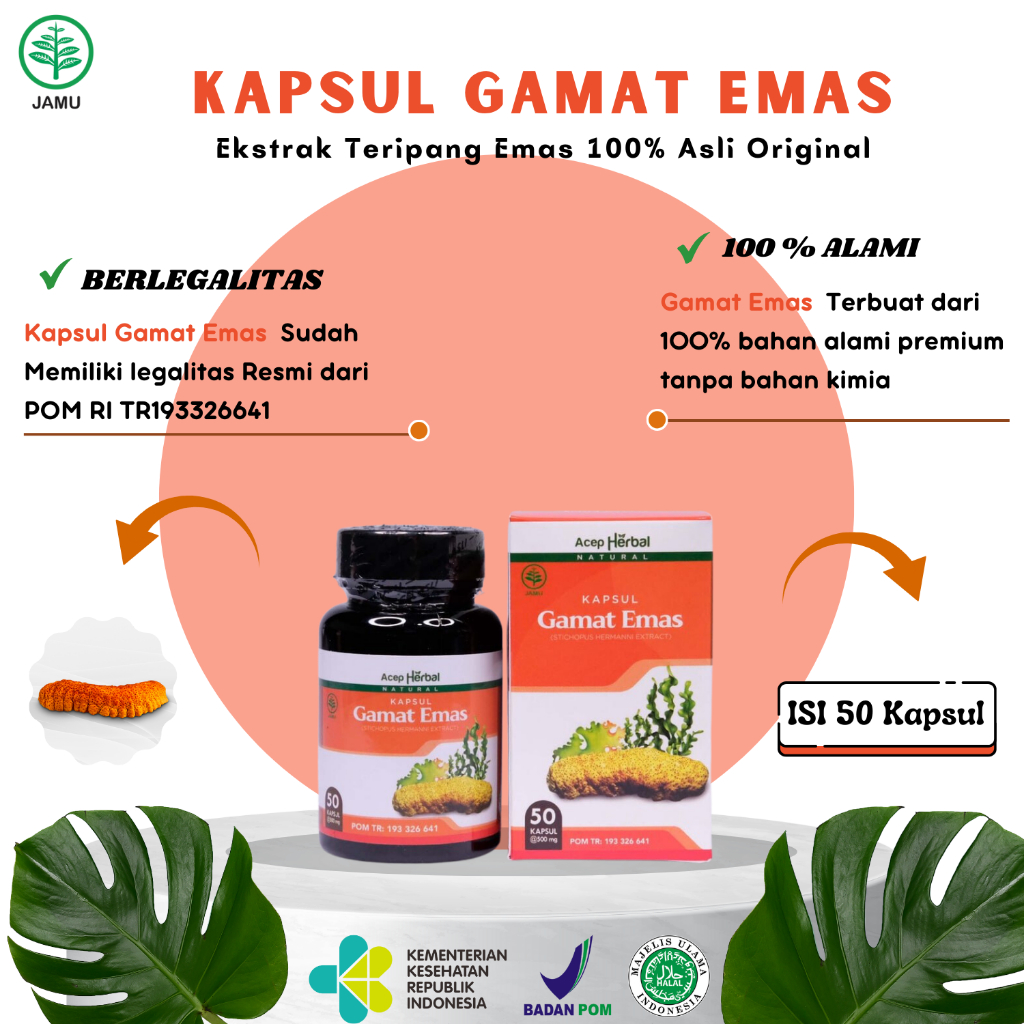Jual Gamat Emas Kapsul 100% Ekstrak Teripang Emas Asli Original ...