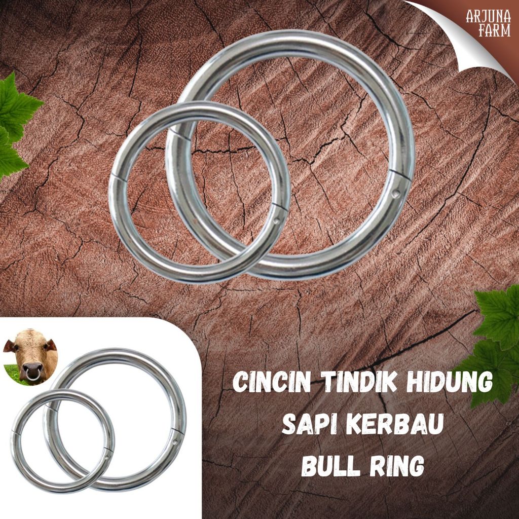 Jual Cincin Hidung Sapi Kerbau Lembu Sapi Cincin Bull Ring Diameter ...