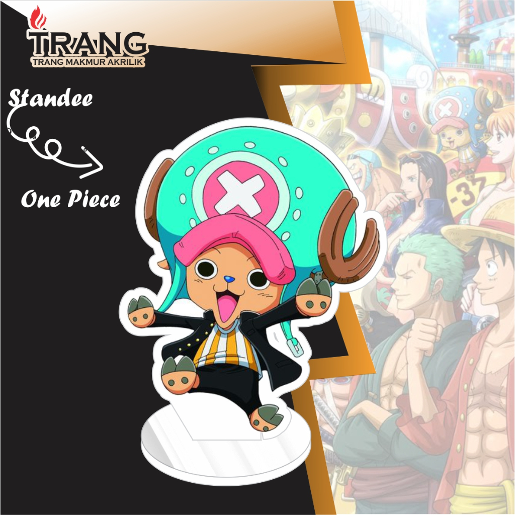 Jual Standee Figure Akrilik One Piece / Standing Action figure Acrylic ...