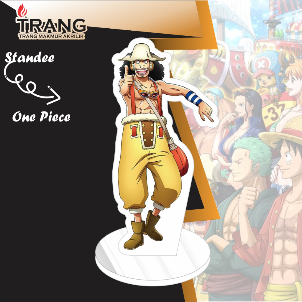 Jual Standee Figure Akrilik One Piece / Standing Action figure Acrylic ...