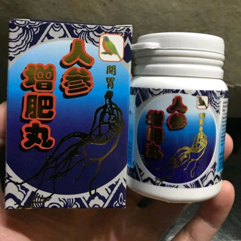 Jual REN SHENG ZHEN FEI WAN GINSENG BIRU BOTOL KRAMIK OBAT PENGGEMUK ...
