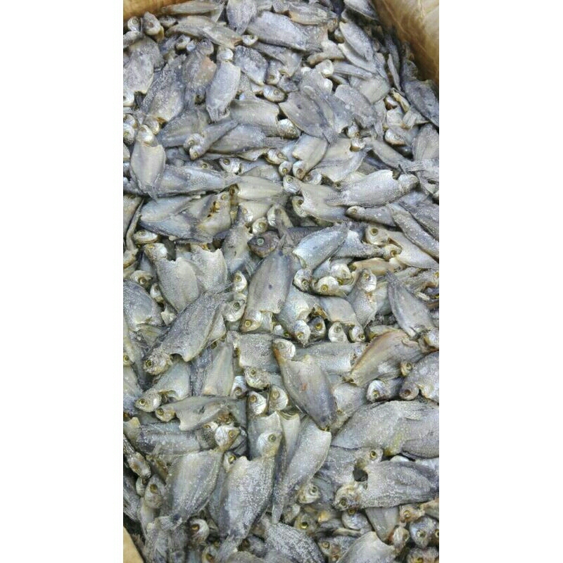 Jual ikan asin sepat rawa,baru kemasa 250gr (ASAL KALIMANTAN) | Shopee ...
