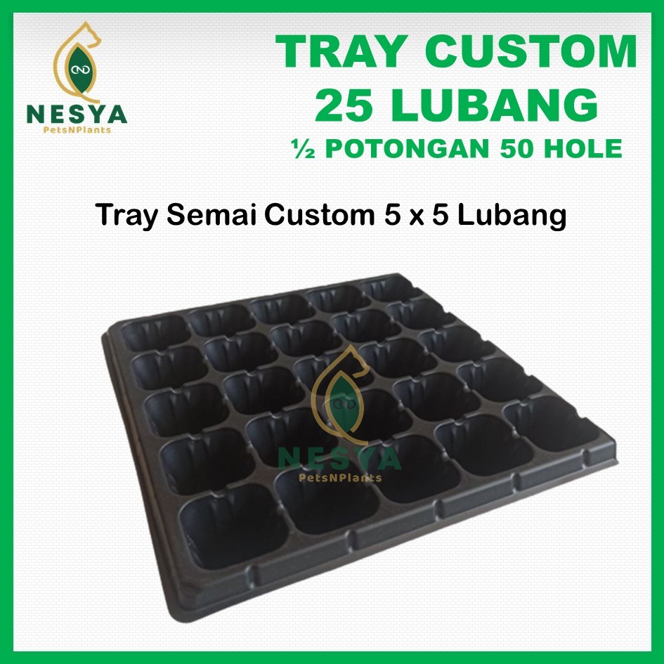 Jual Tray Semai Potray 25 Lubang Custom - Tray Semai 5x5 | Shopee Indonesia