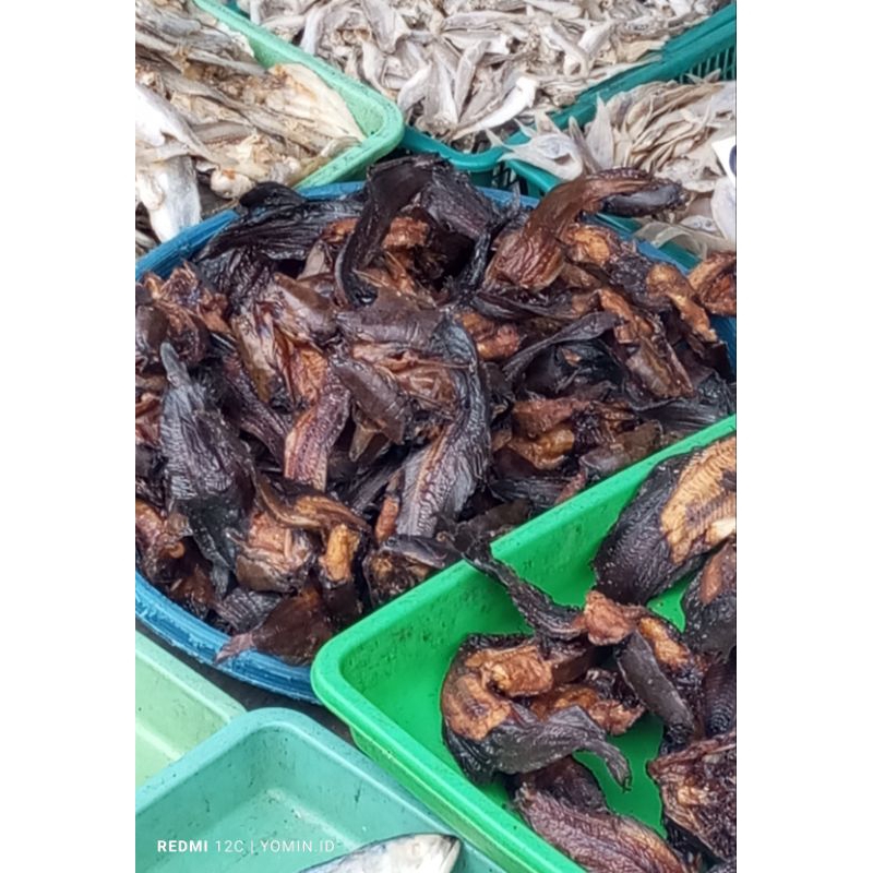 Jual Ikan Lele Saleh/ Lele Asap 100gr | Shopee Indonesia