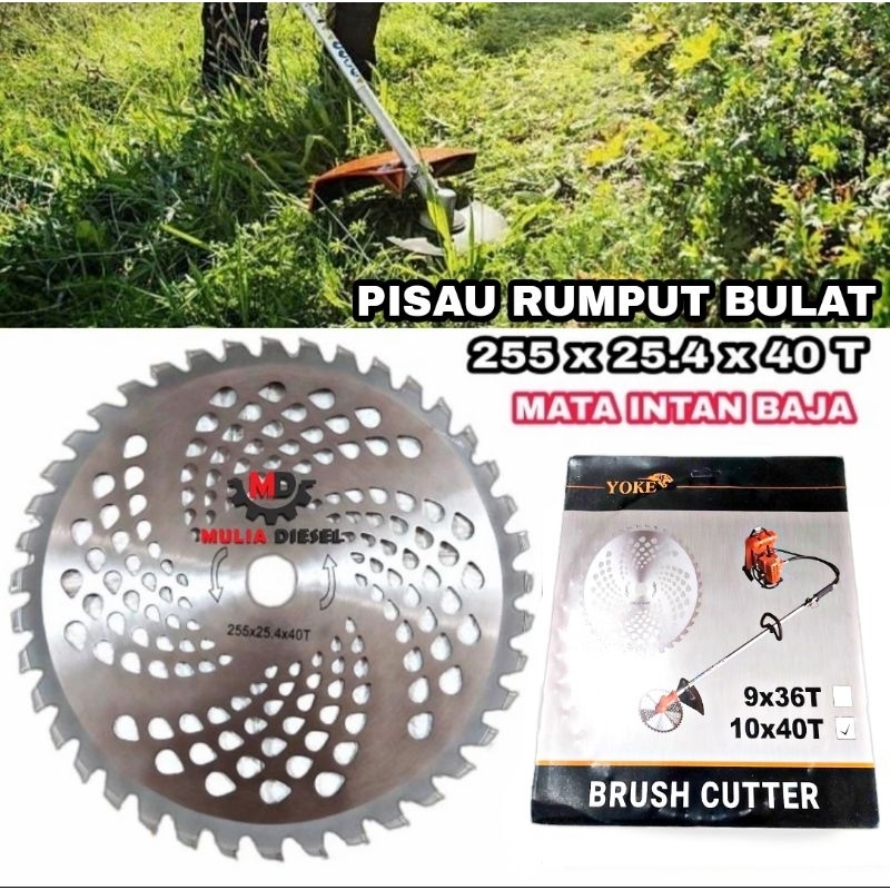 Jual Pisau Blade Mesin Potong Rumput Padi Bulat 40T 40 T 255 x 25.4 x ...