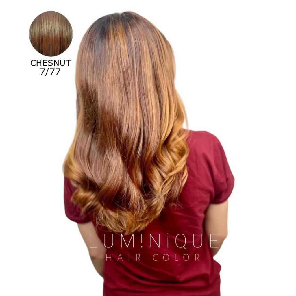 Jual LUMINIQUE Hair Color 100ml - Cat / Pewarna Rambut Semir | Shopee ...