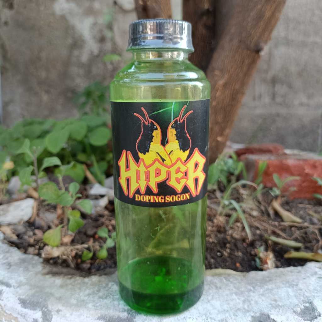 Jual HIPER DOPING SOGON VITAMIN PENGGACOR SOGON KONIN KOLIBRI PLECI ...