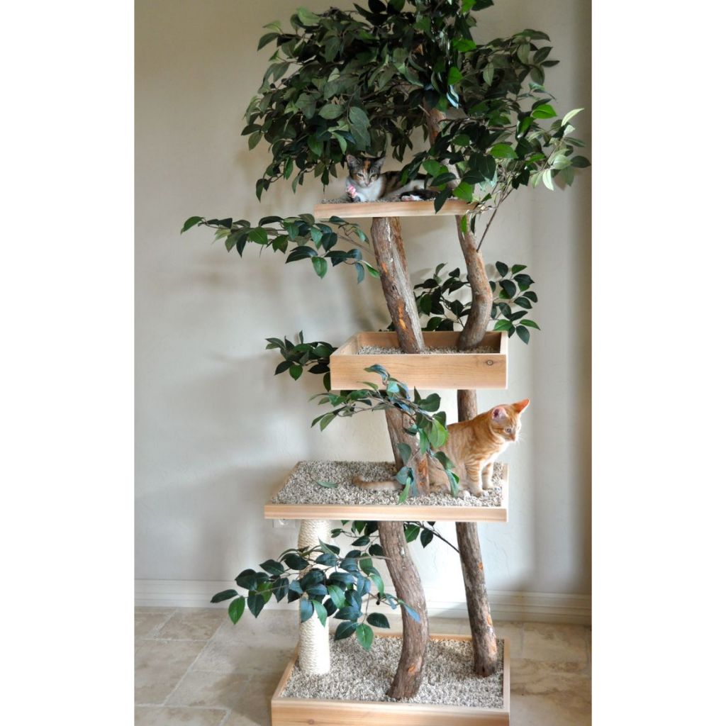 Jual Caspira - Cat tree - Cat scratcher - Cat play - Canjatan kucing ...