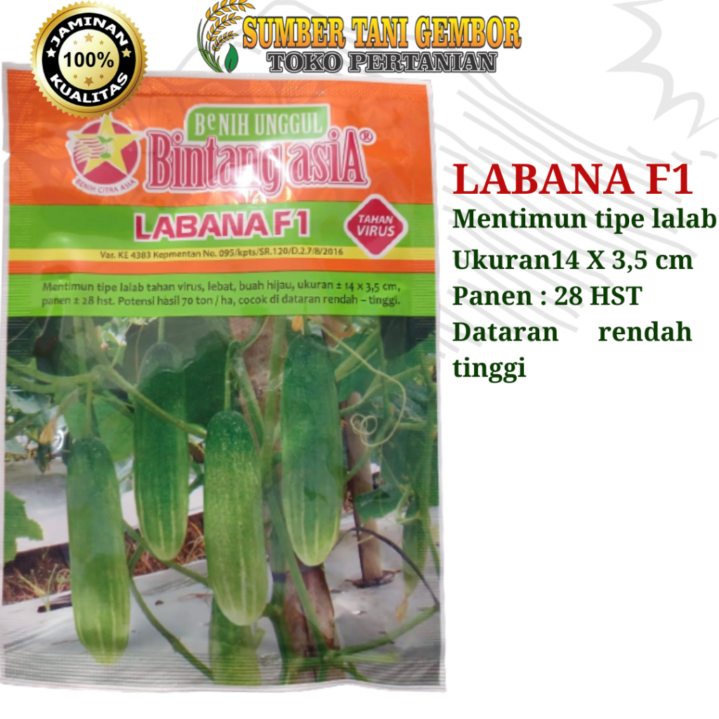 Jual Labana F1 Cap Bintang Asia Mentimun Benih Mentimun Benih Timun ...