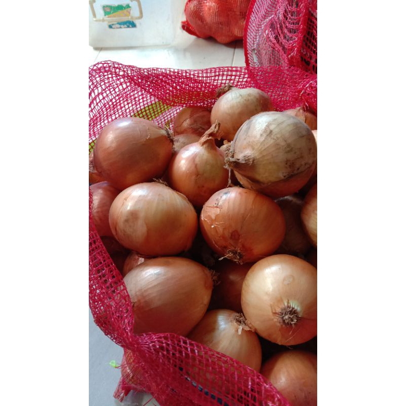 Jual BAWANG BOMBAY BESAR 60/80 1 KG | Shopee Indonesia