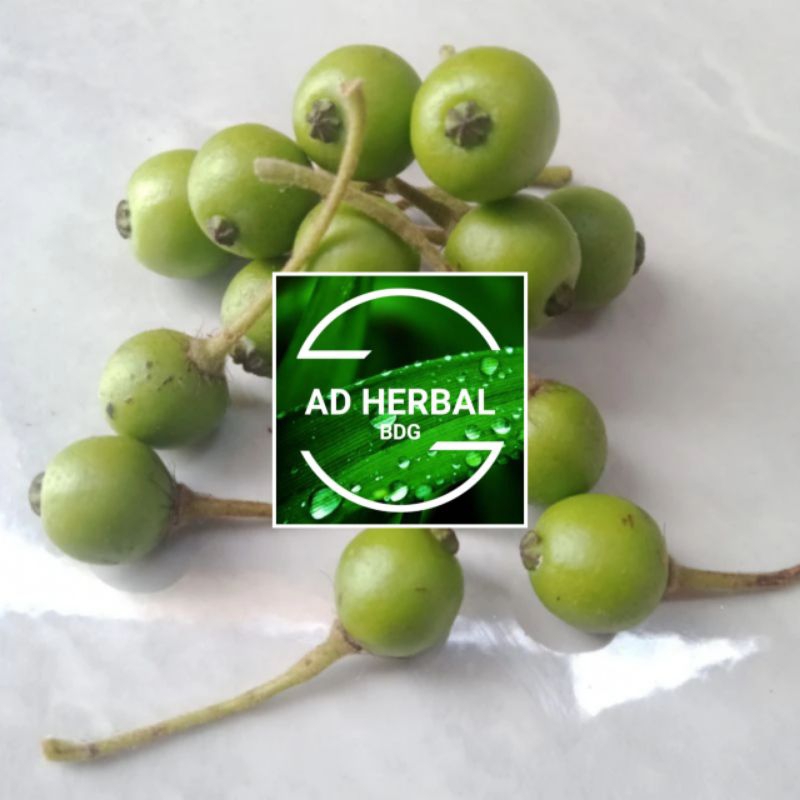 Jual Jual Buah Kersen Mentah Atau Buah Talok Fres | Shopee Indonesia