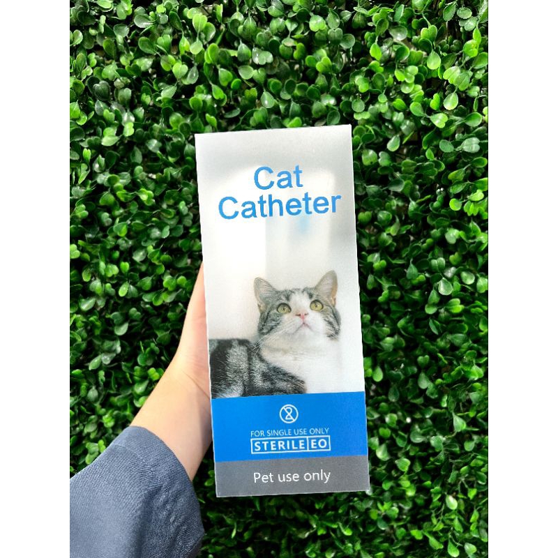 Jual cat catheter 4Fr dan 3Fr end hole . non stilet | Shopee Indonesia