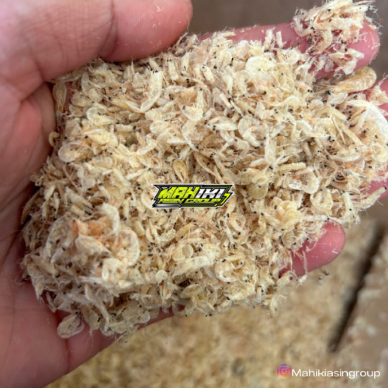Jual Ikan Asin Rebon 1000g | Shopee Indonesia
