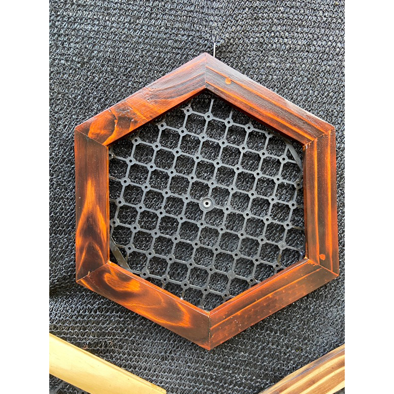 Jual bingkai platycarium/bingkai tanaman/frame platycarium/bingkai segi ...